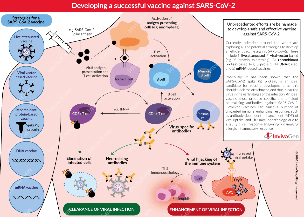 COVID-19 | Vaccine development | InvivoGen COVID-19 | Vaccine development | InvivoGen