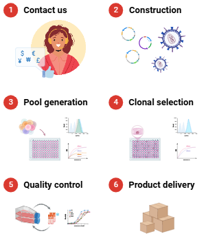 Custom Cell Line Development | Cellular Assay On Demand | InvivoGen