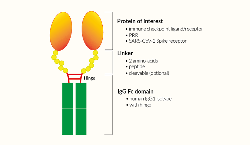 New products | InvivoGen