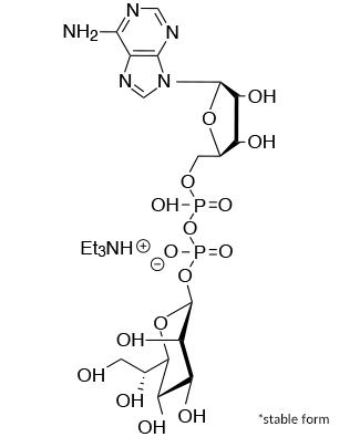 ADP-Heptose | ALPK1 ligand | InvivoGen