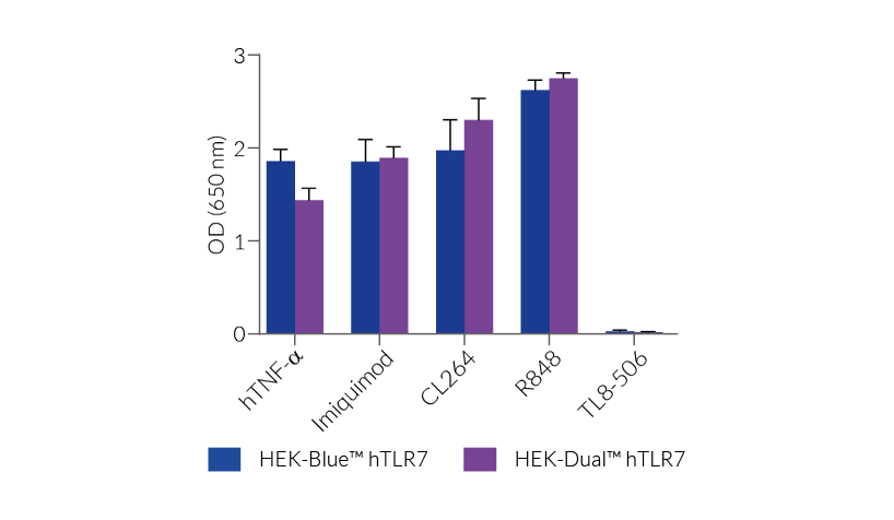 New products | InvivoGen