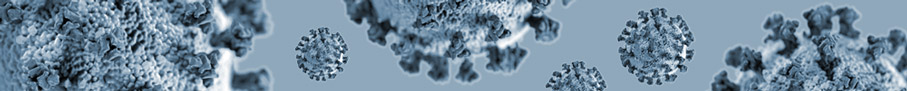 COVID-19 | SARS-CoV-2 | Research Tools | InvivoGen COVID-19 | SARS-CoV-2 | Research Tools | InvivoGen