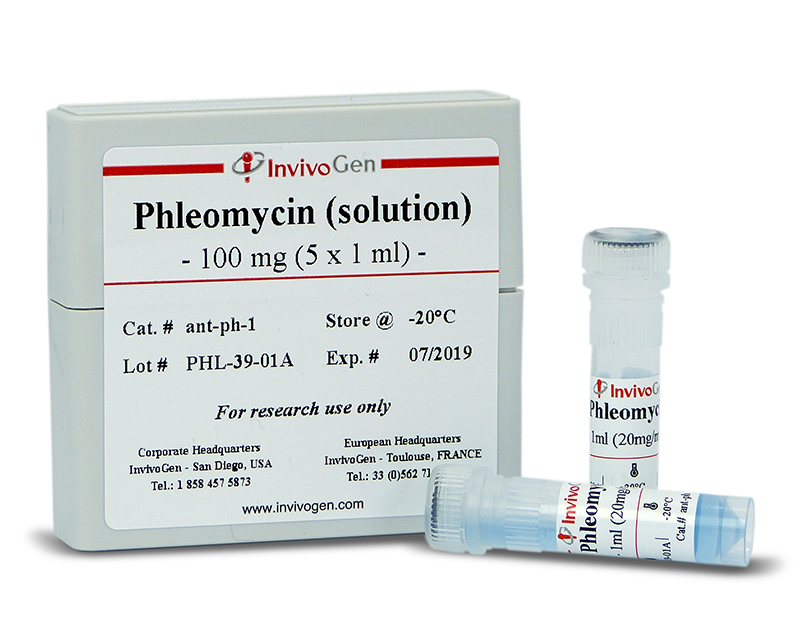 Phleomycin | Selection Antibiotic | InvivoGen