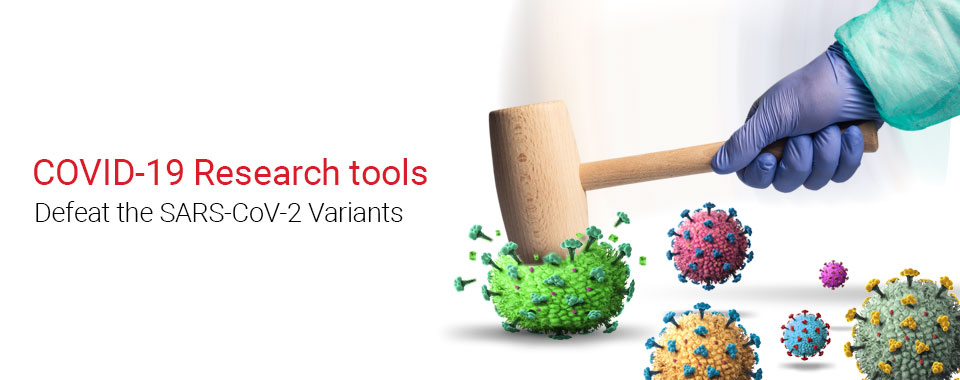 InvivoGen: Reagents and Tools for Cell Biology Research