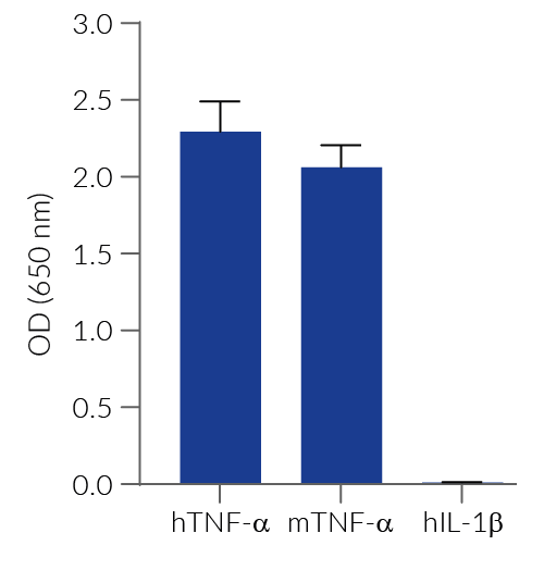 HEK-Blue TNF-α | TNF-alpha cell-based assay | InvivoGen